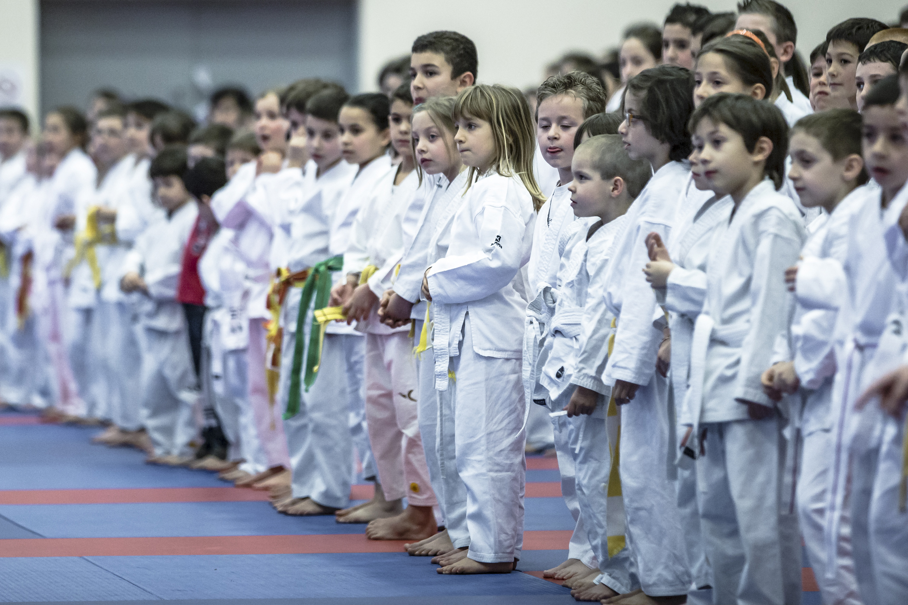 Quels développements pour le karaté enfant ? – Le Mag' FFKaraté